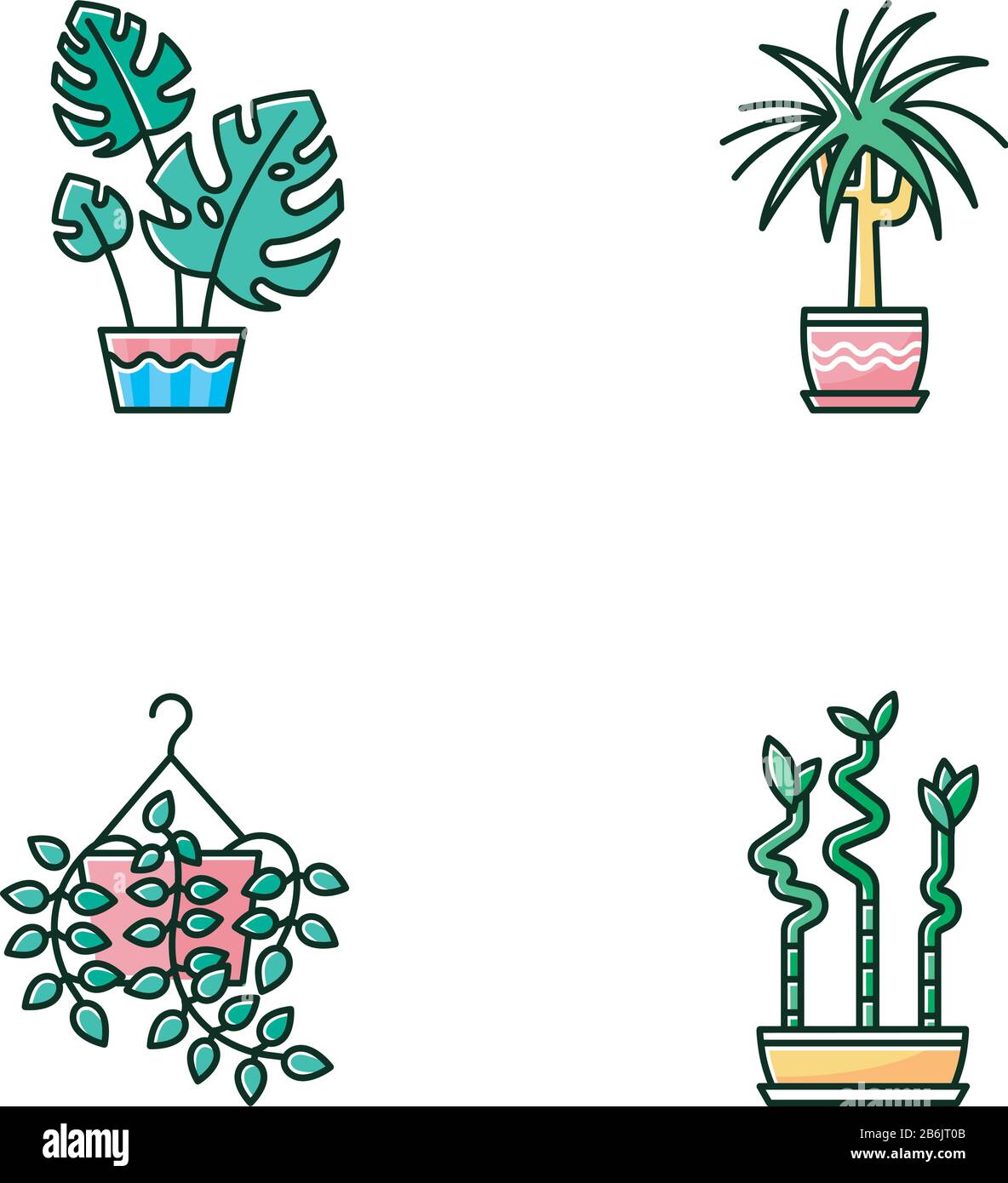 Domesticated plants RGB color icons set. Houseplants. Ornamental indoor ...