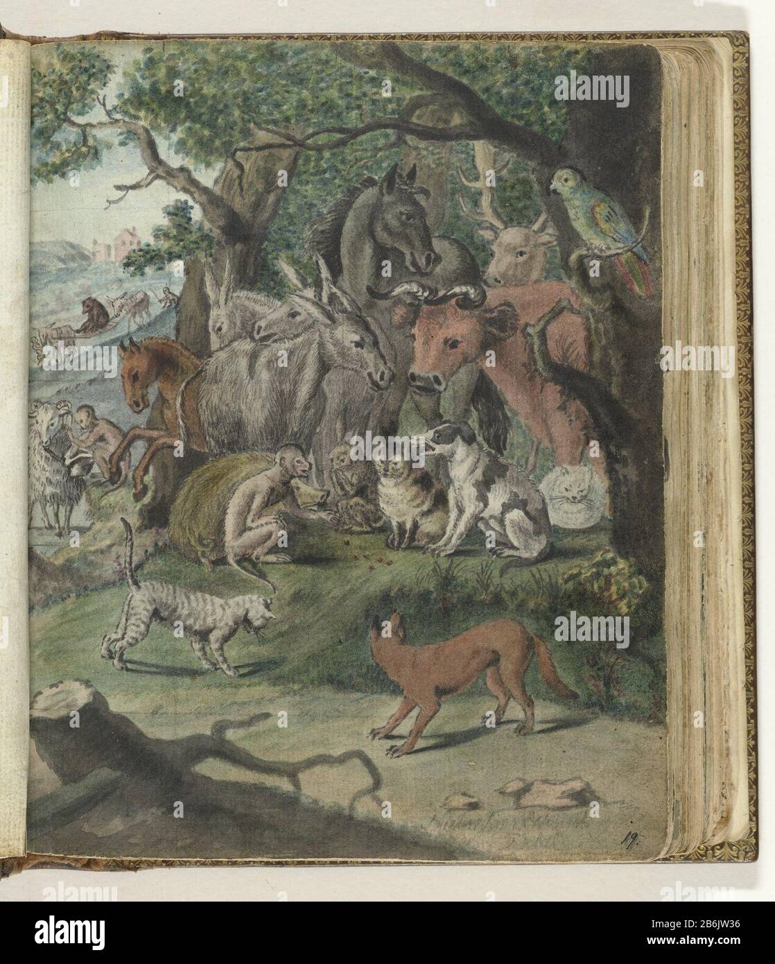 Dicing animals Color Drawing of a group of animals with human behavior ...