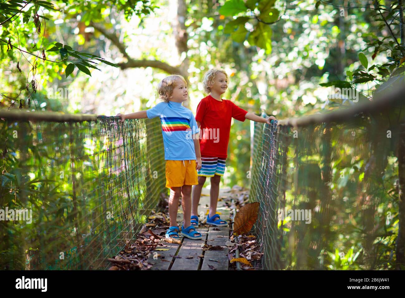Kids hiking in the mountains. Boy walking on suspension bridge over ...