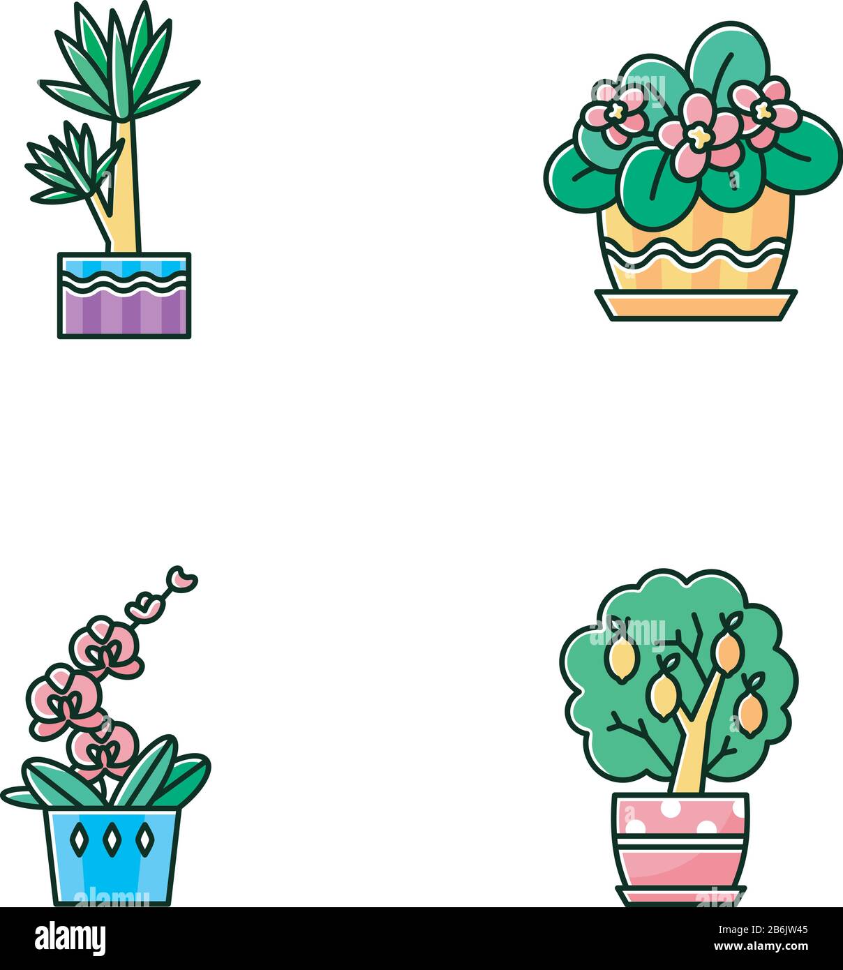 Decorative indoor plants RGB color icons set. Houseplants. Domesticated ...