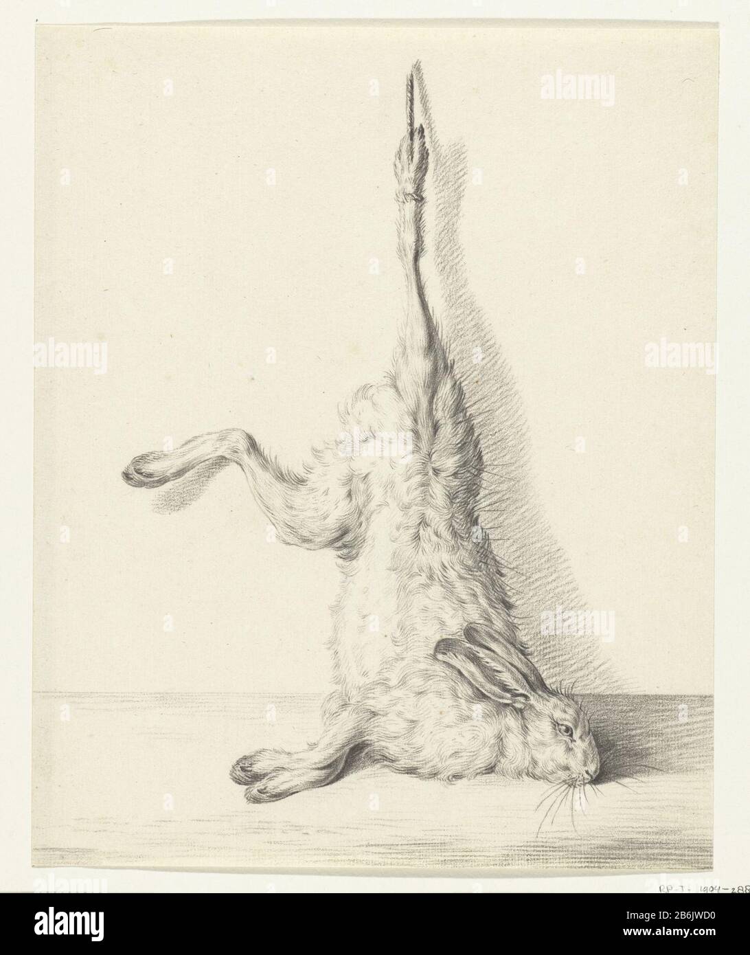 Hare pencil drawing hi-res stock photography and images - Alamy