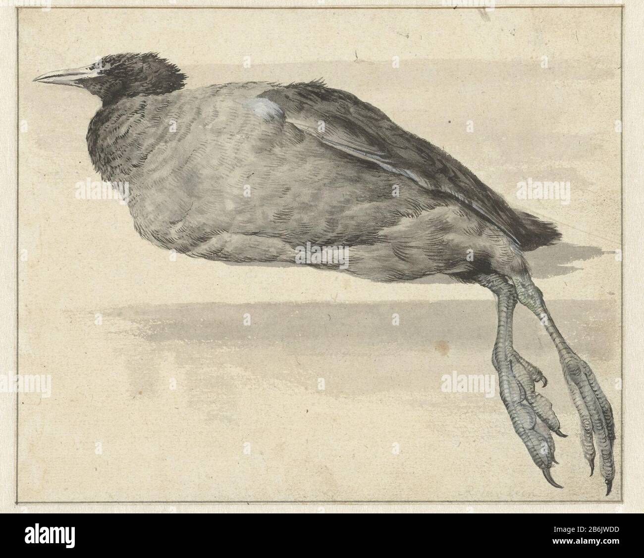 Mortality in birds hi-res stock photography and images - Alamy