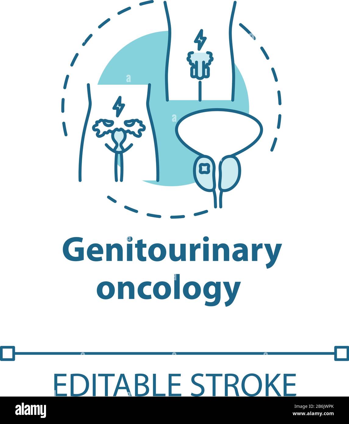 Genitourinary system Stock Vector Images - Alamy