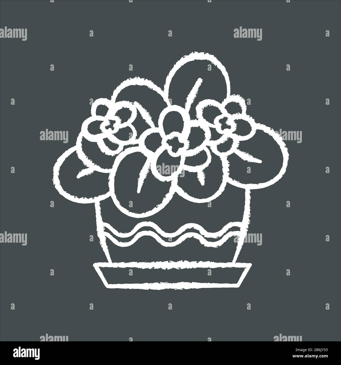 African violet chalk white icon on black background. Blooming ...