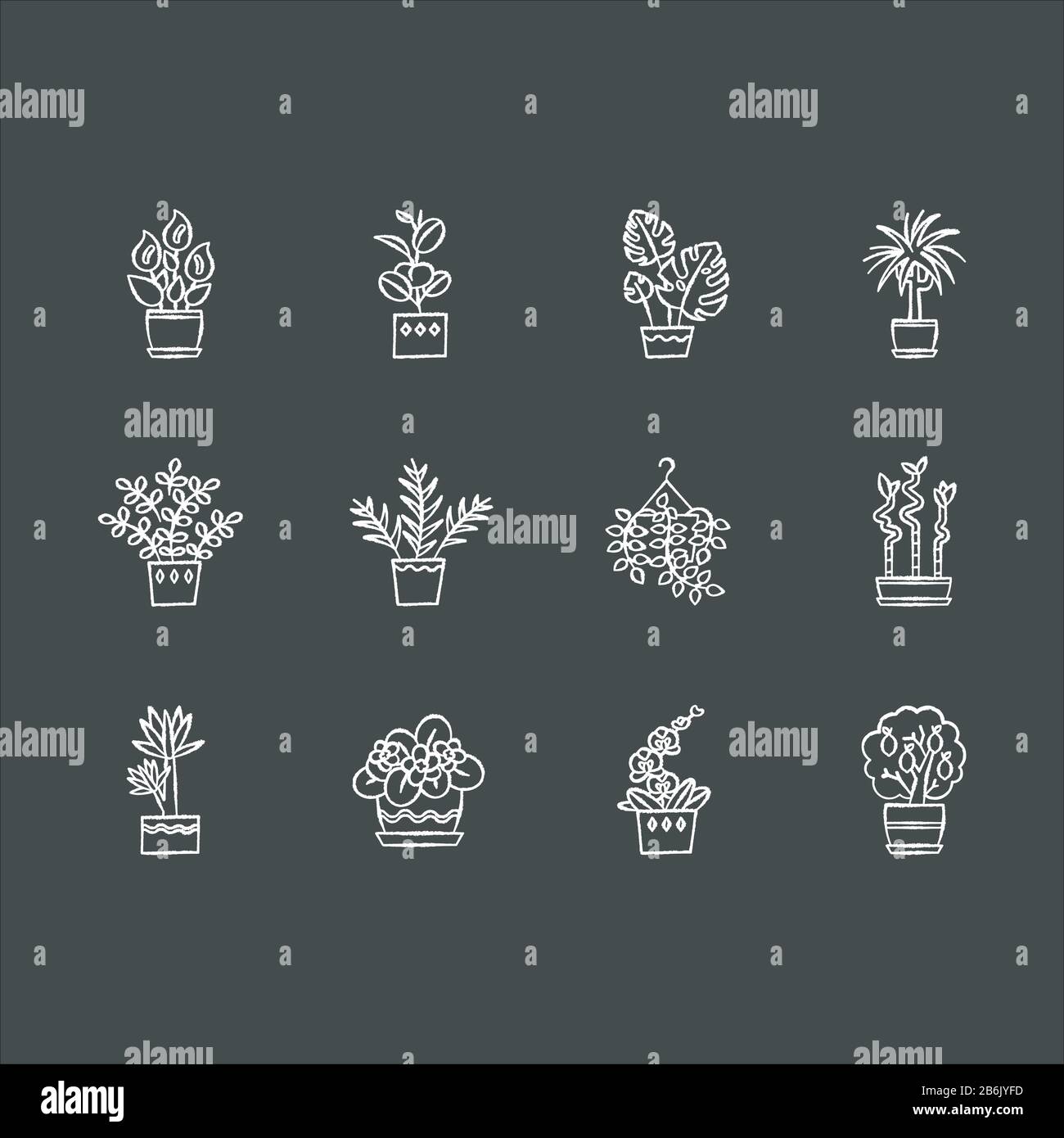 Houseplants chalk white icons set on black background. Indoor plants ...