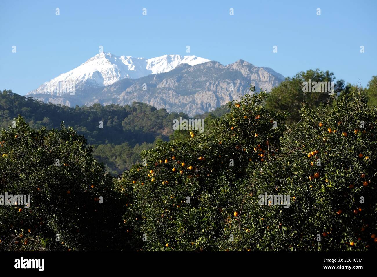 Different vegetation slope hi-res stock photography and images - Alamy