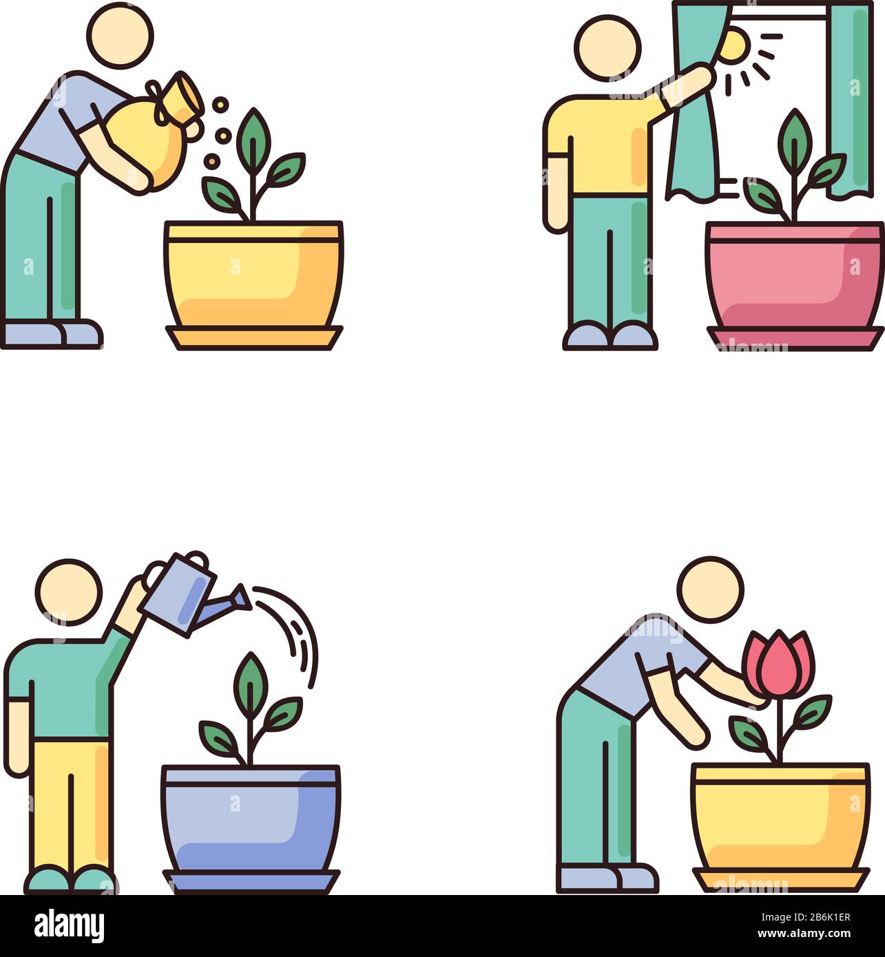 Indoor gardening stages RGB color icons set. Houseplant caring ...