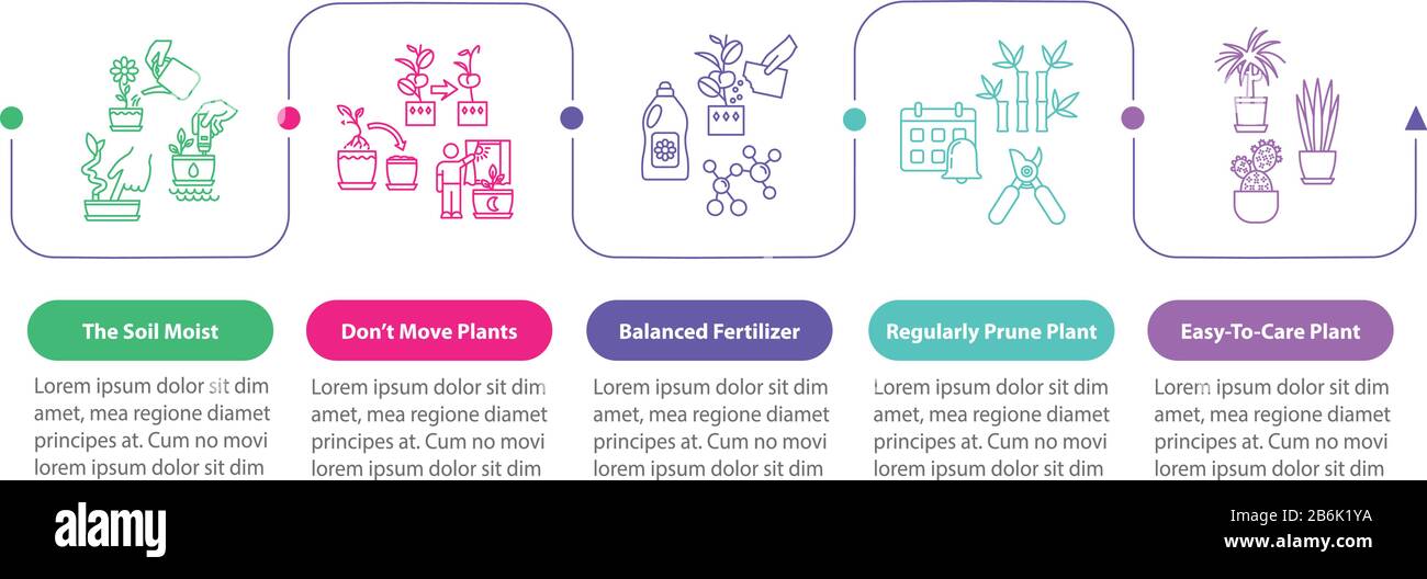 Indoor plants care vector infographic template. Pruning flowers ...