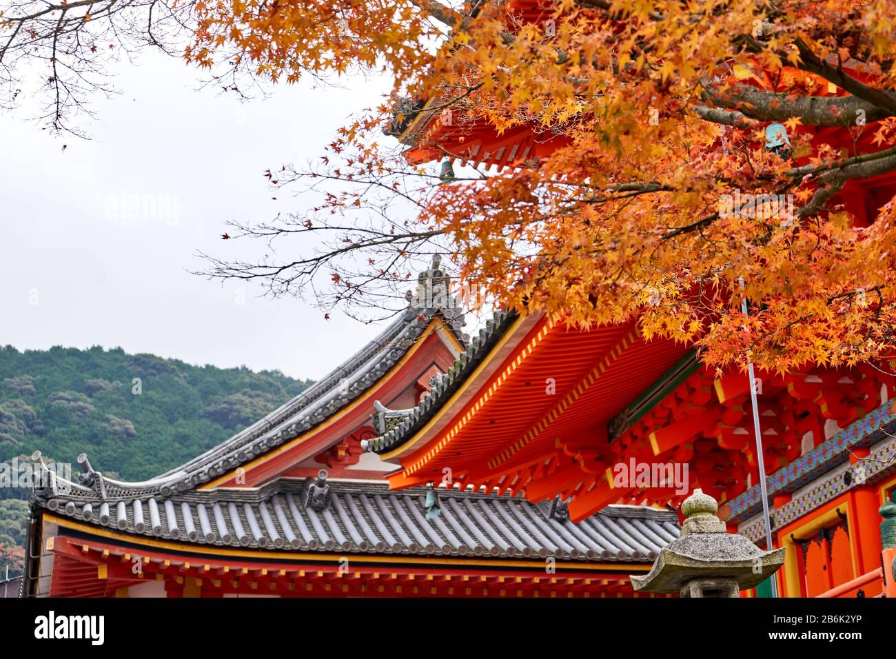 Japanese temple surrounded by trees in autumn Stock Photo - Alamy
