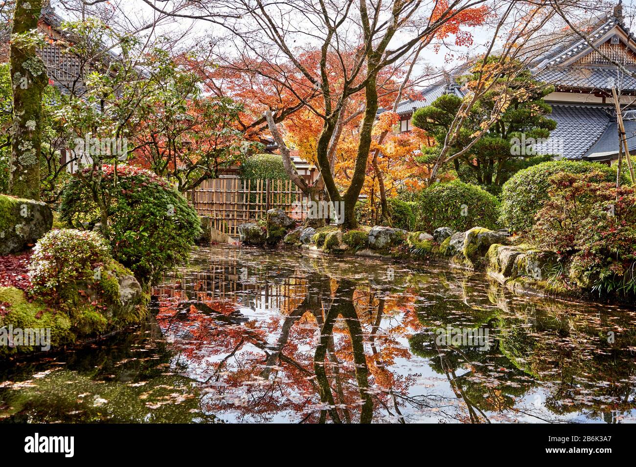 Maple lake park hi-res stock photography and images - Alamy