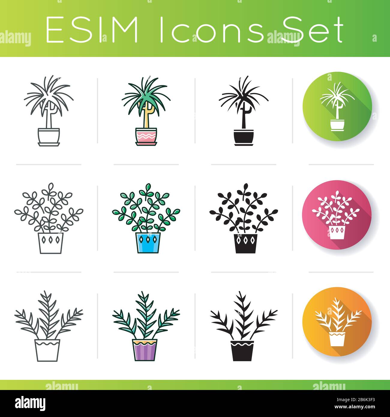 Domesticated plants icons set. Houseplants. Ornamental plants. Dracaena ...