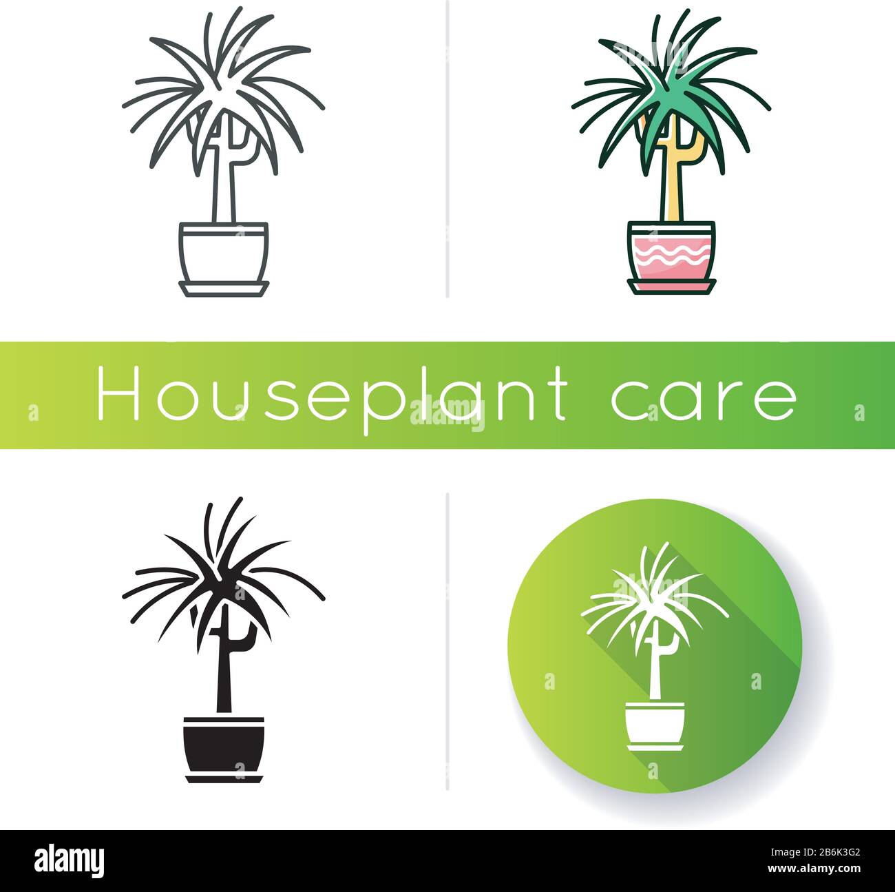 Dracaena icon. Potted ornamental houseplant. Dragon tree. Green indoor ...