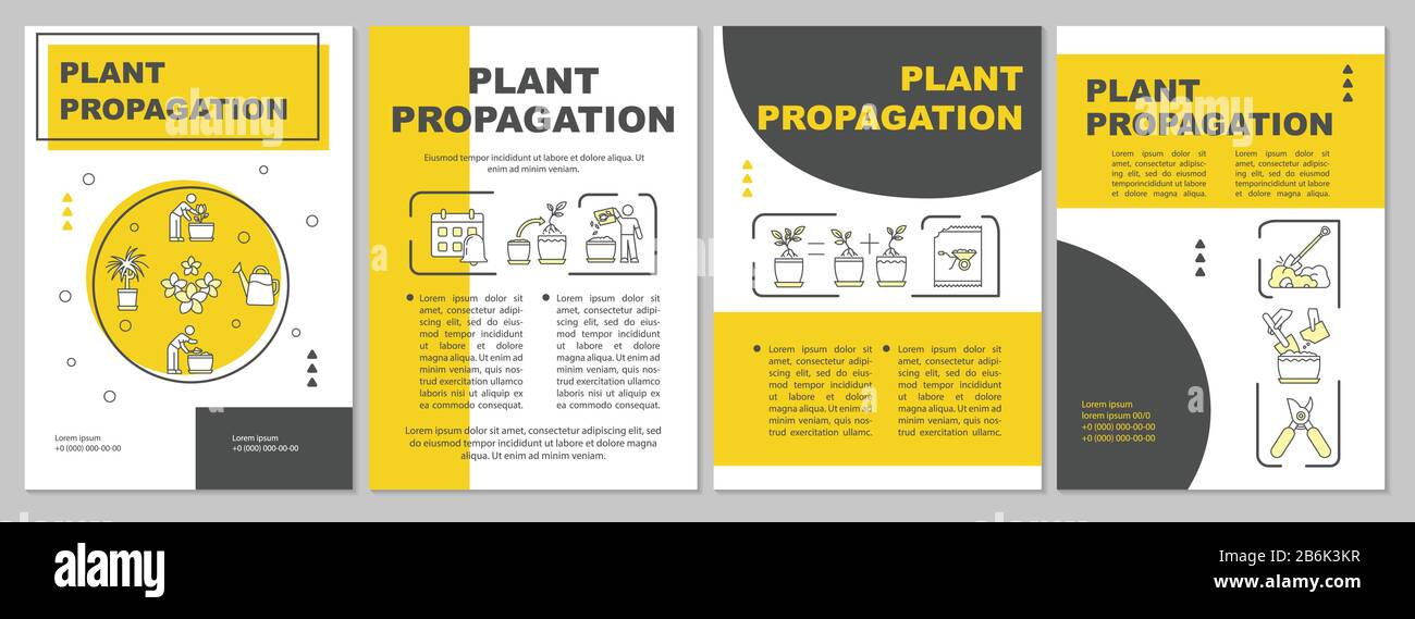 Plant propagation brochure template. Houseplant growing, gardening ...