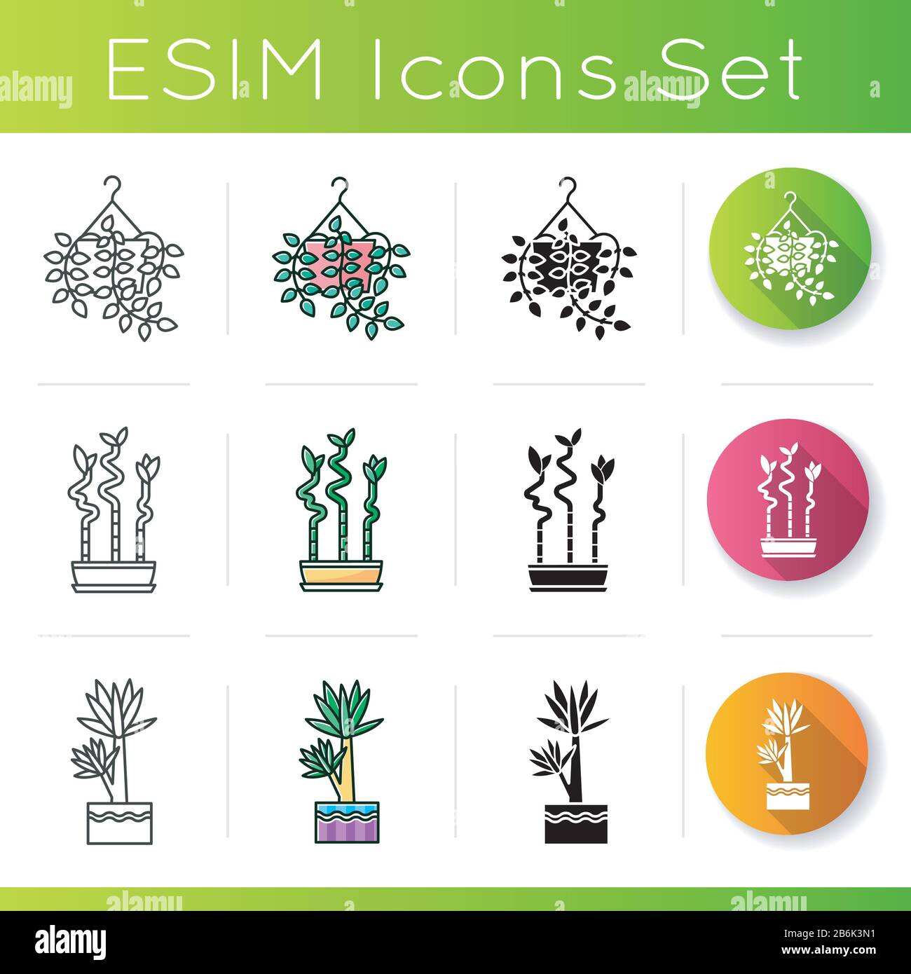 Indoor plants icons set. Houseplants. Domesticated ornamental plants ...
