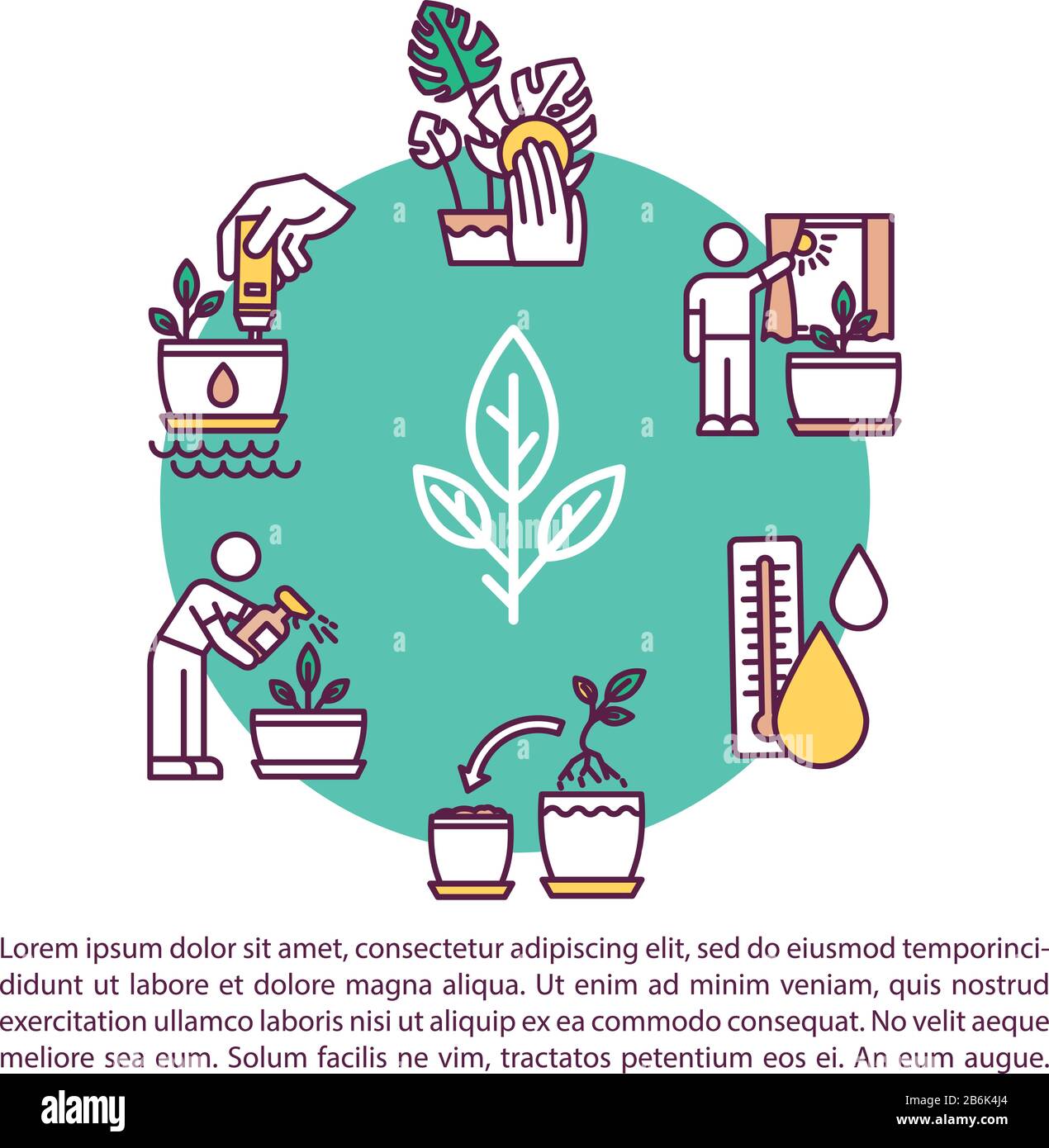 Houseplant care concept icon with text. Repotting, spraying. Washing ...