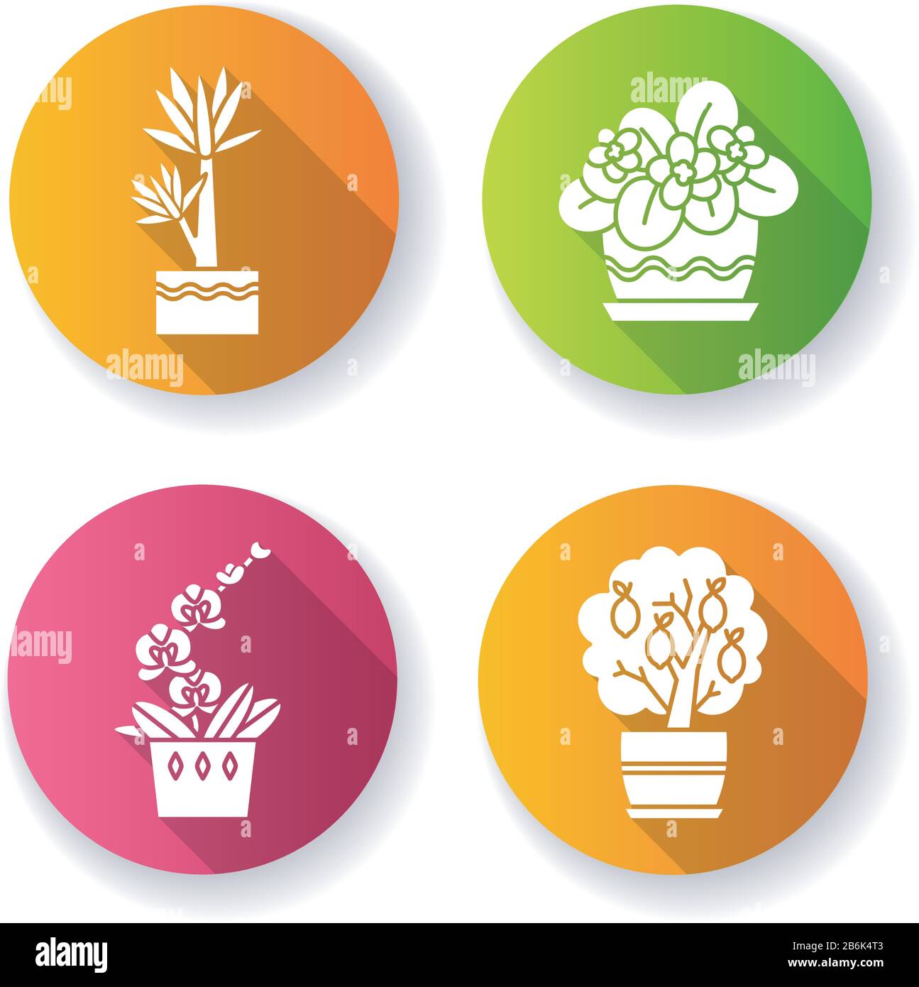 Miniature orange tree Stock Vector Images - Alamy