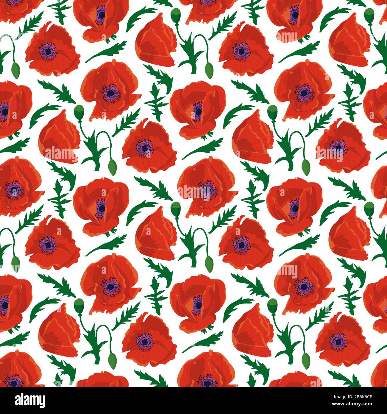 Seamless pattern with hand drawn red poppy flowers on white background ...