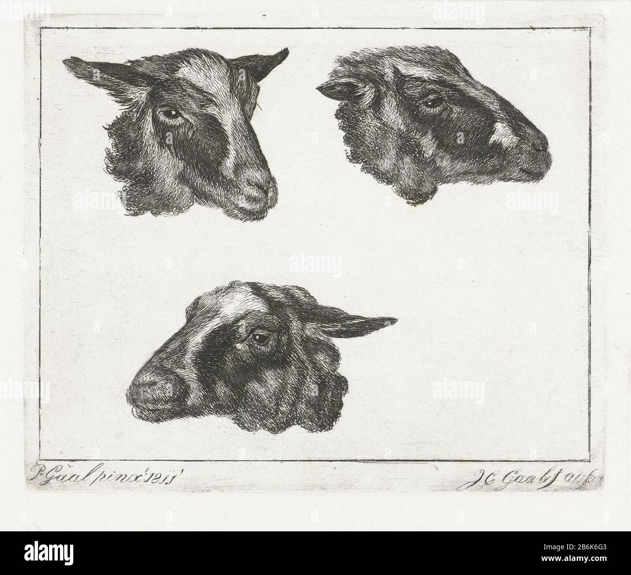 Three goat heads hi-res stock photography and images - Alamy