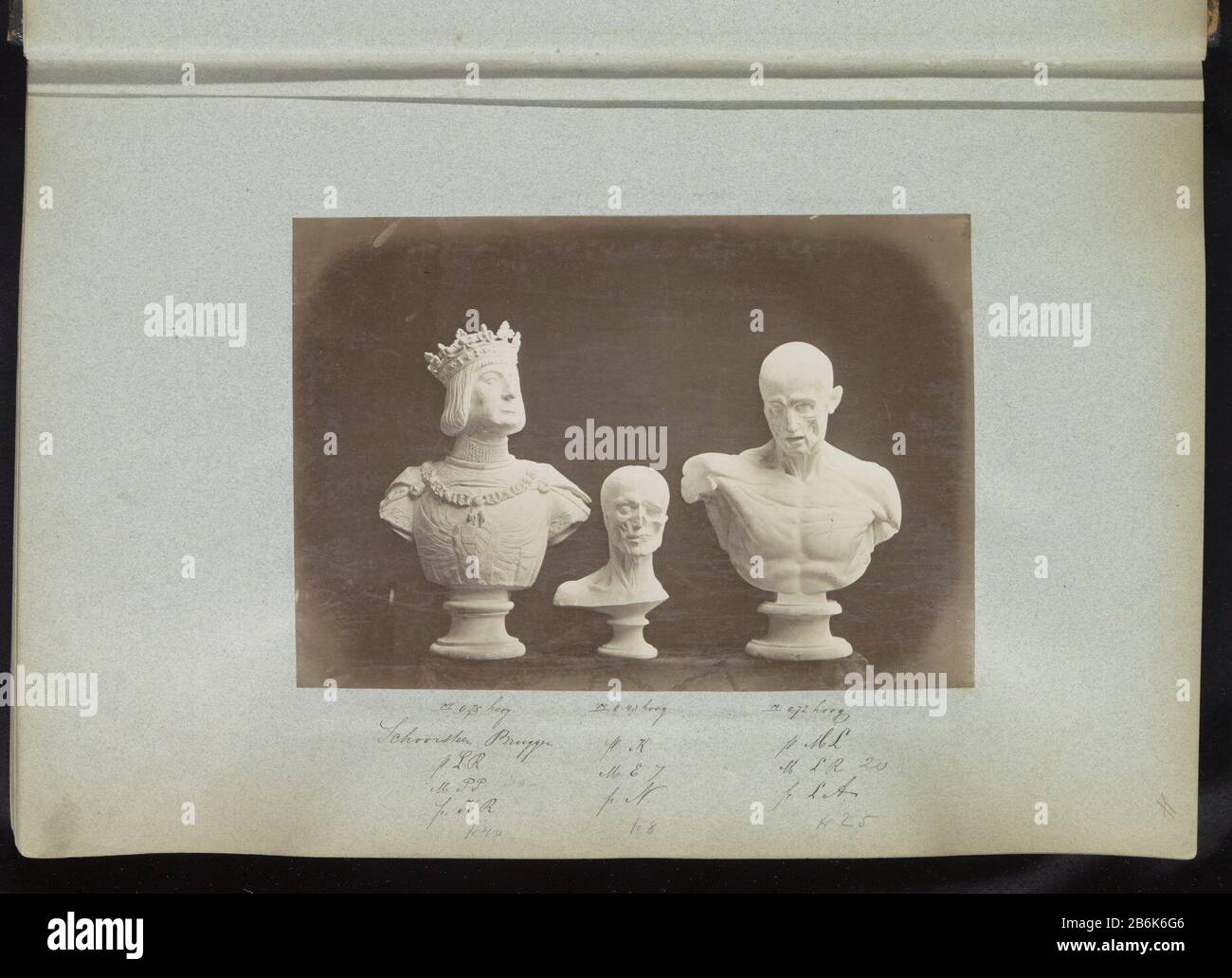 Busts stand hi-res stock photography and images - Alamy