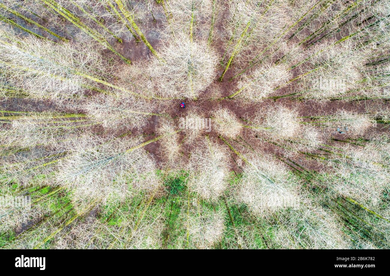 Chinashanwangping hi-res stock photography and images - Alamy