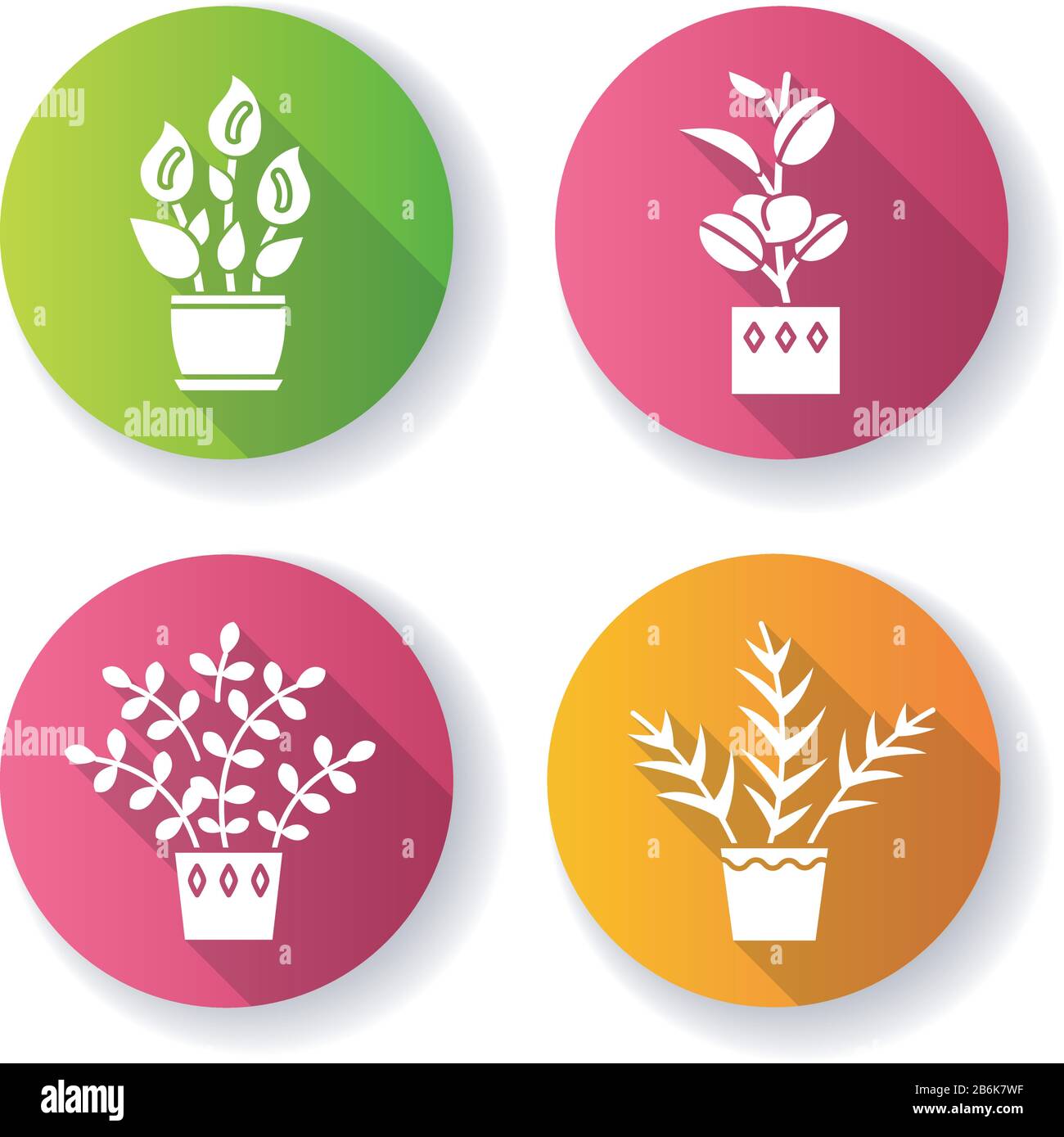 Indoor plants flat design long shadow glyph icons set. Houseplants ...