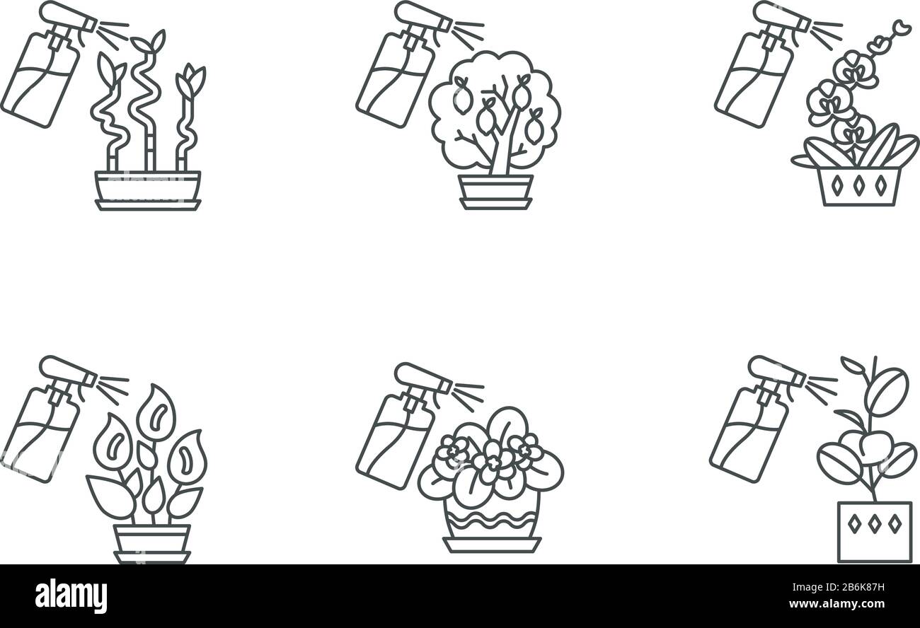 Spraying domesticated plants pixel perfect linear icons set. Houseplant ...