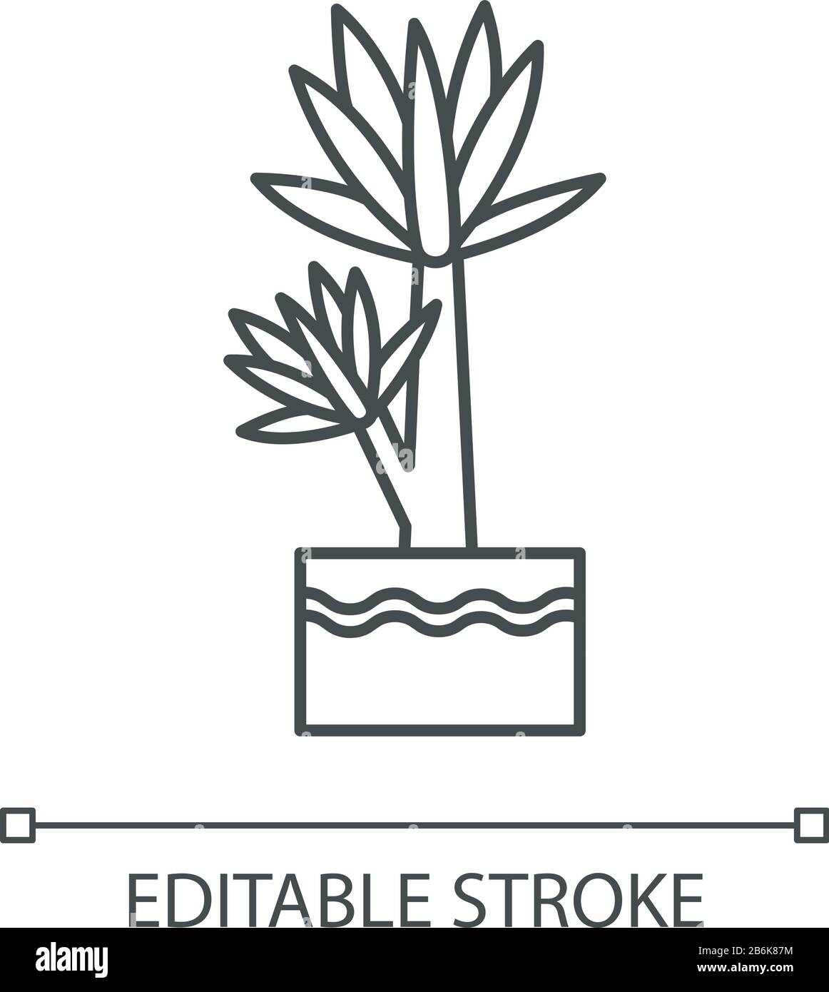 Yucca leaves Stock Vector Images - Alamy