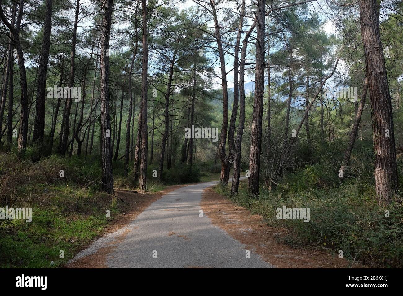 Walking route hi-res stock photography and images - Alamy