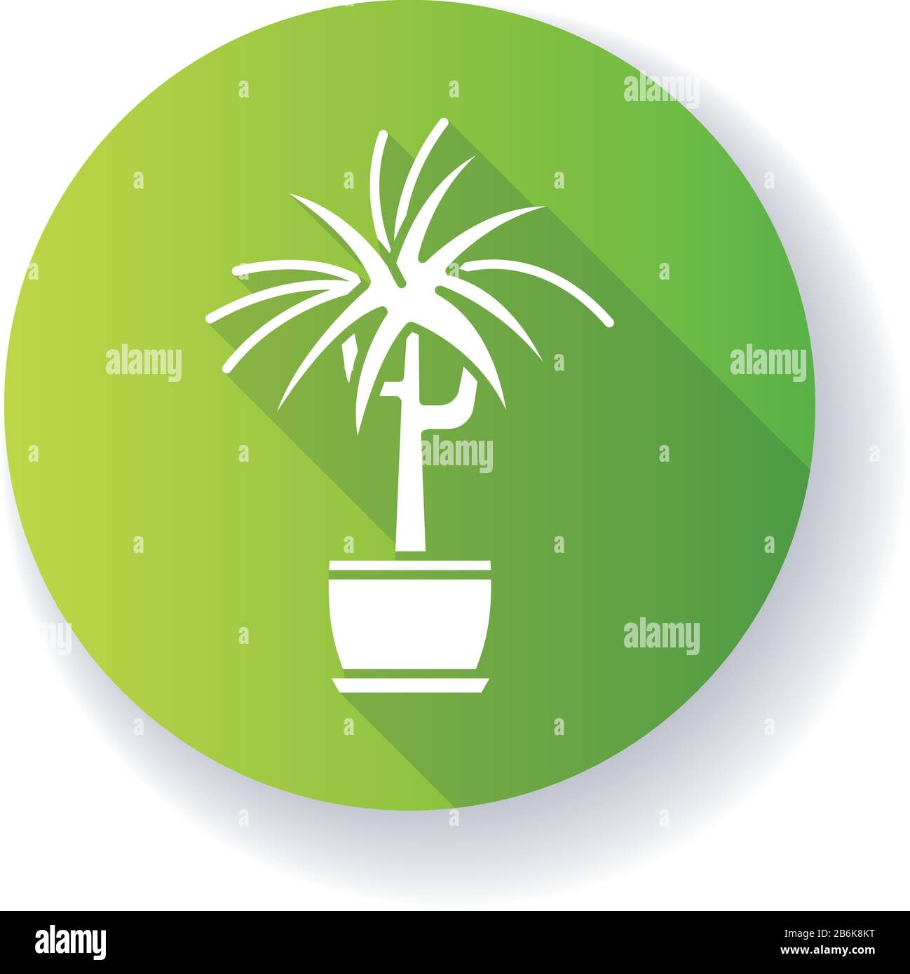 Long spiky leaves Stock Vector Images - Alamy