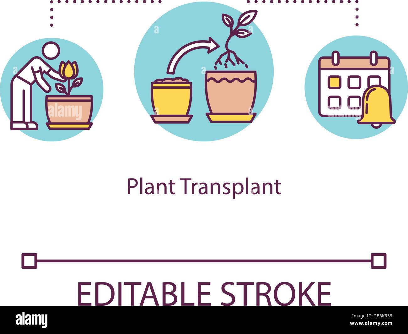 Transplanting flowers Stock Vector Images - Alamy
