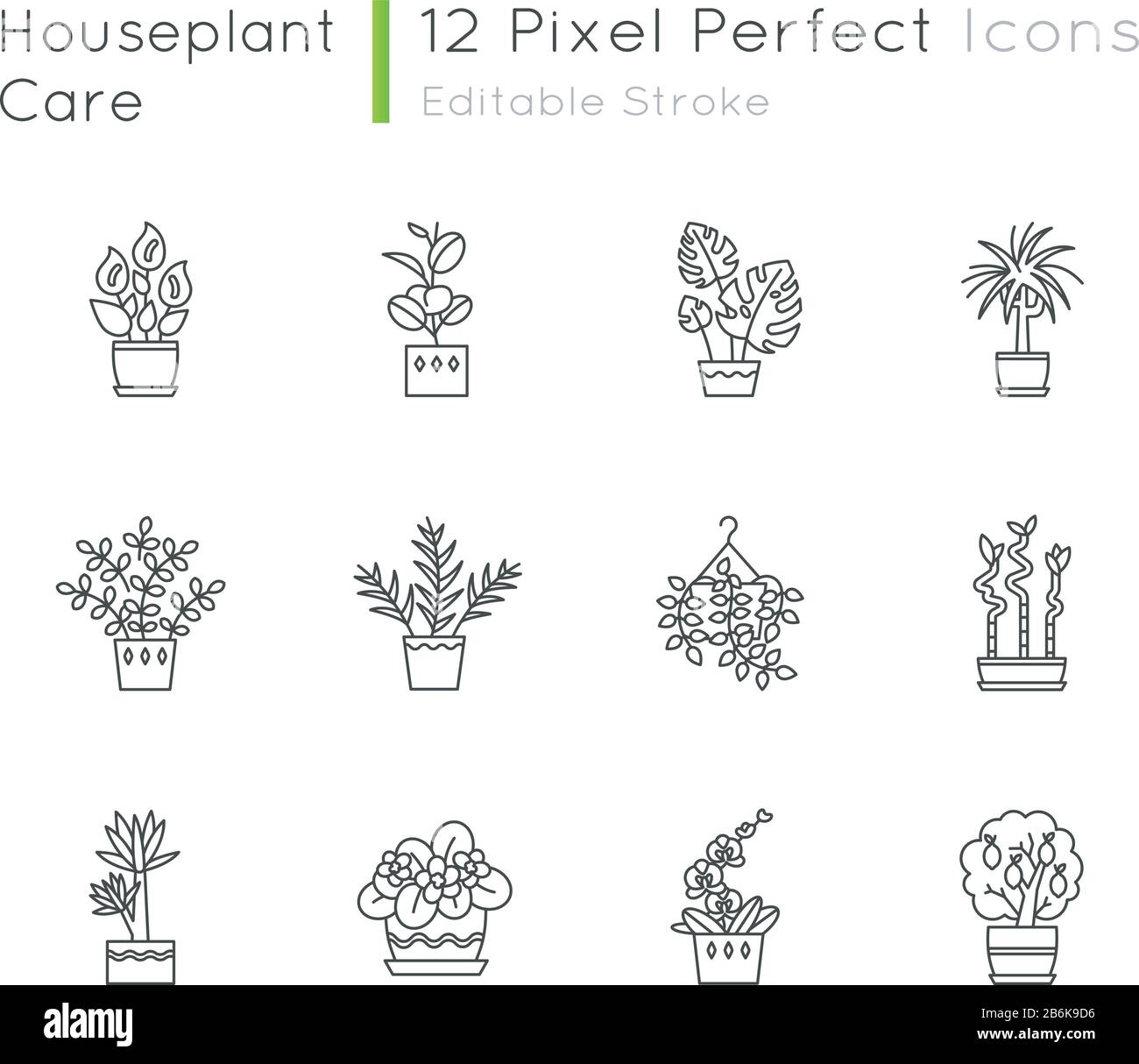 Houseplants pixel perfect linear icons set. Indoor plants. Ficus ...