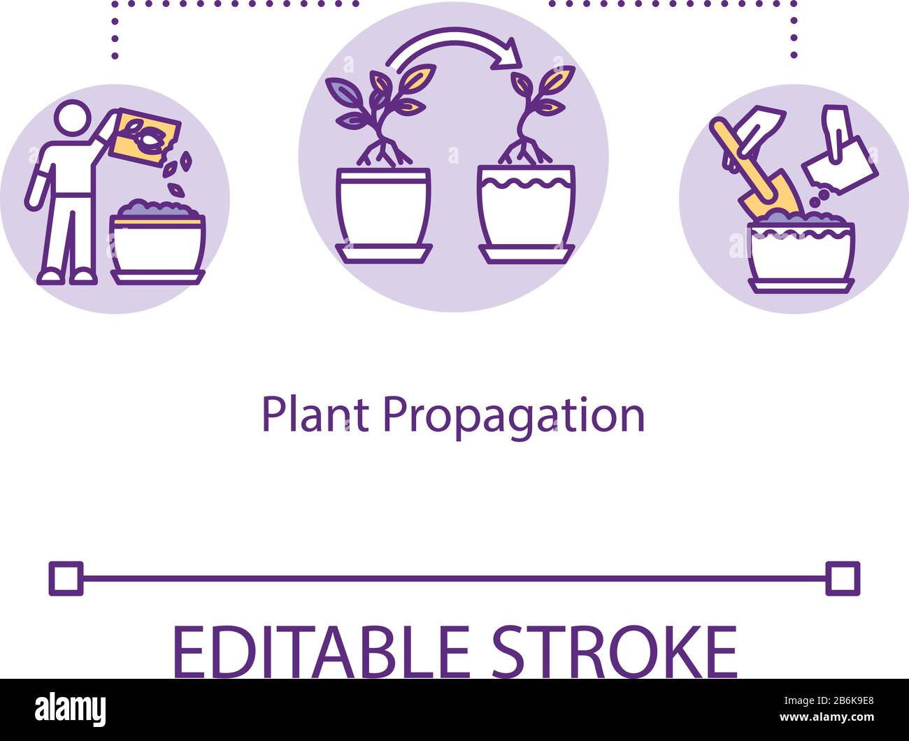Propagation from cuttings Stock Vector Images - Alamy