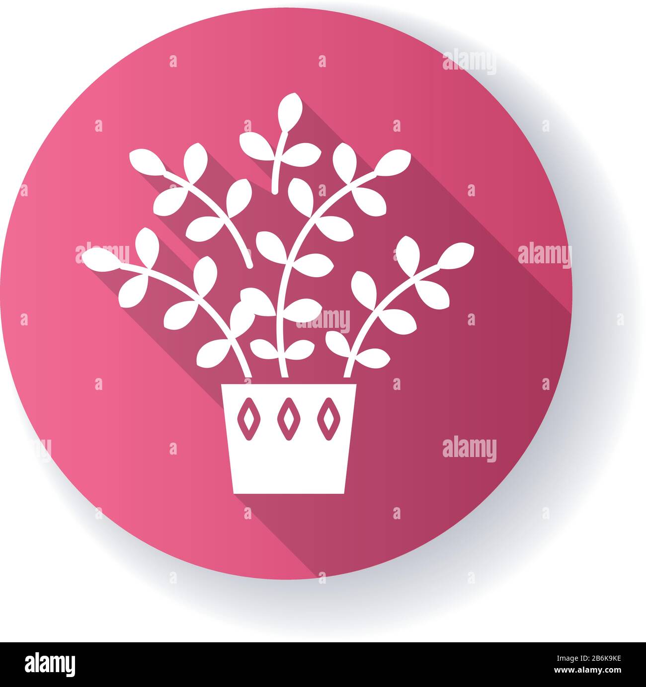 Zz Plant Pink Flat Design Long Shadow Glyph Icon Zamioculcas Zanzibar
