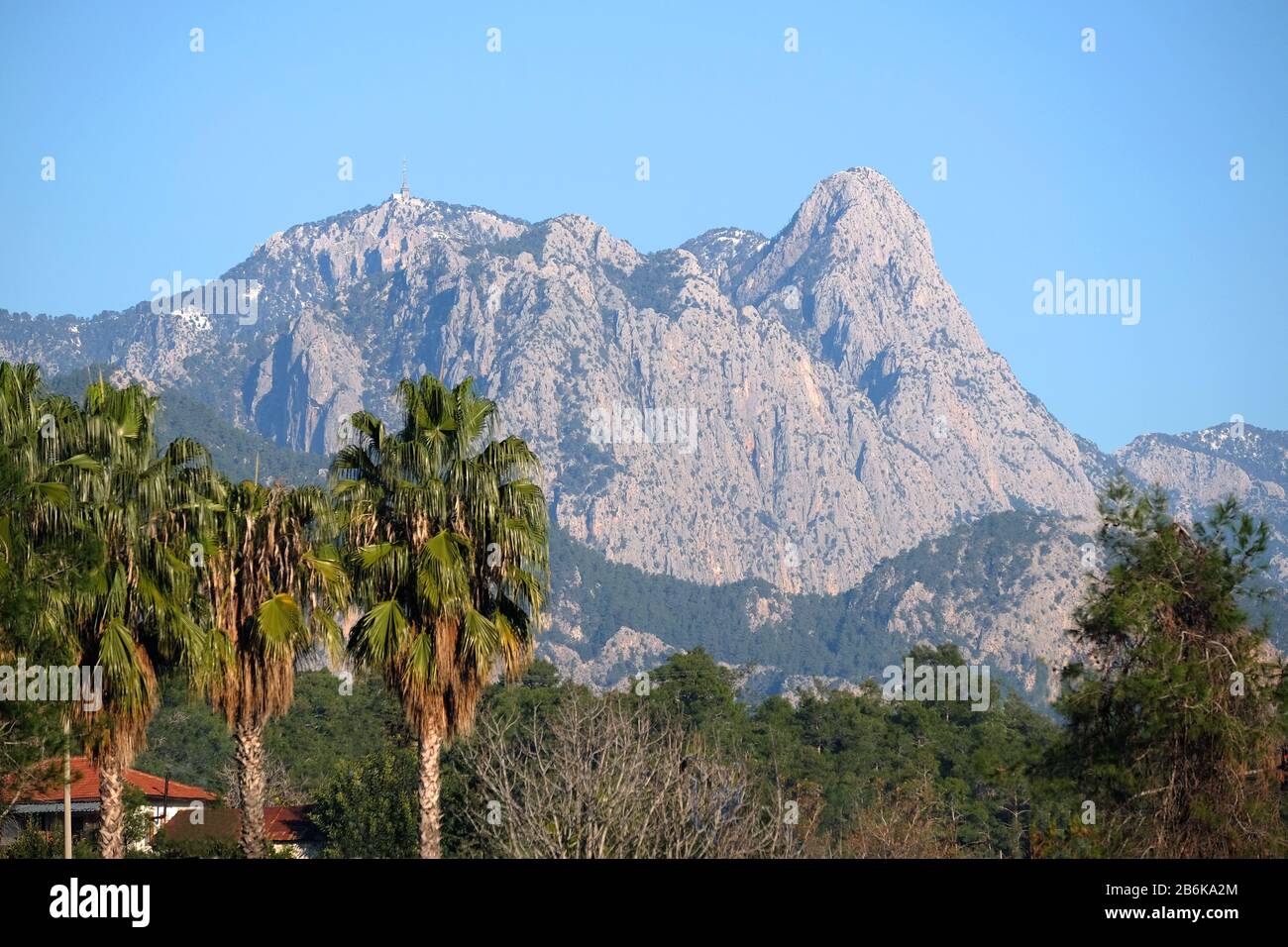 Poor vegetation hi-res stock photography and images - Alamy