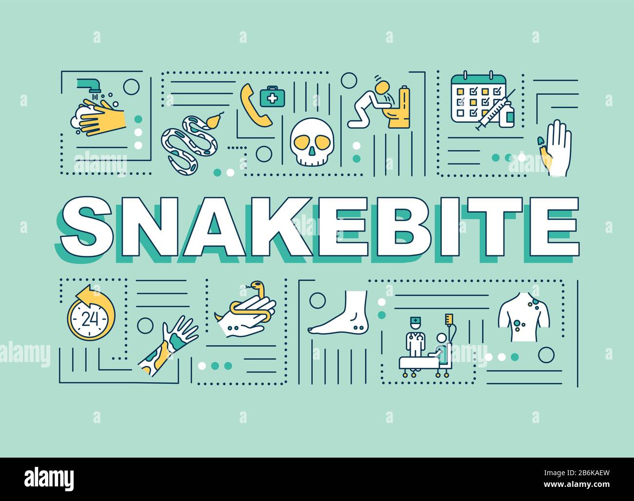 Snake Bite First Aid Poster