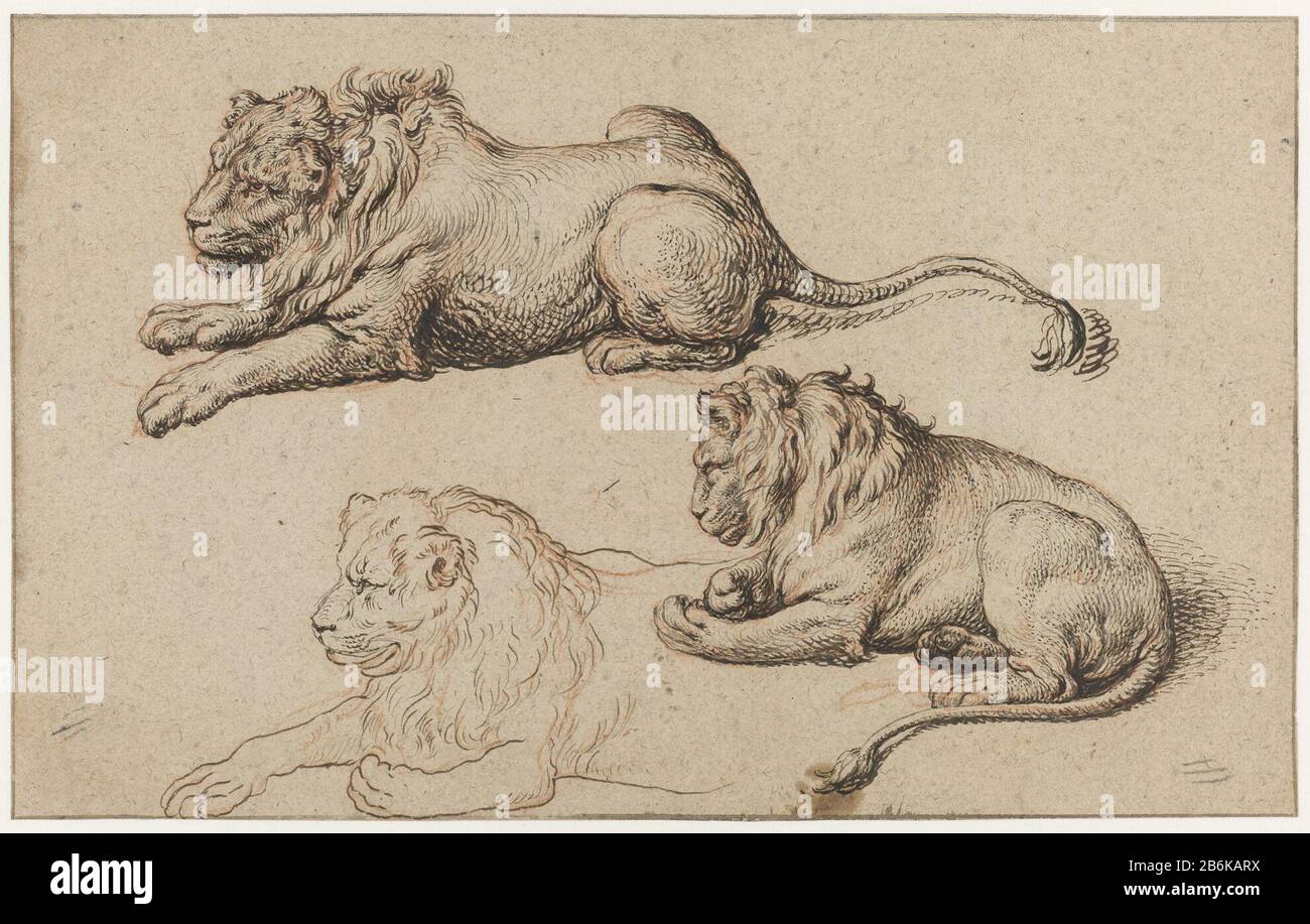 Lions in a pen hi-res stock photography and images - Alamy