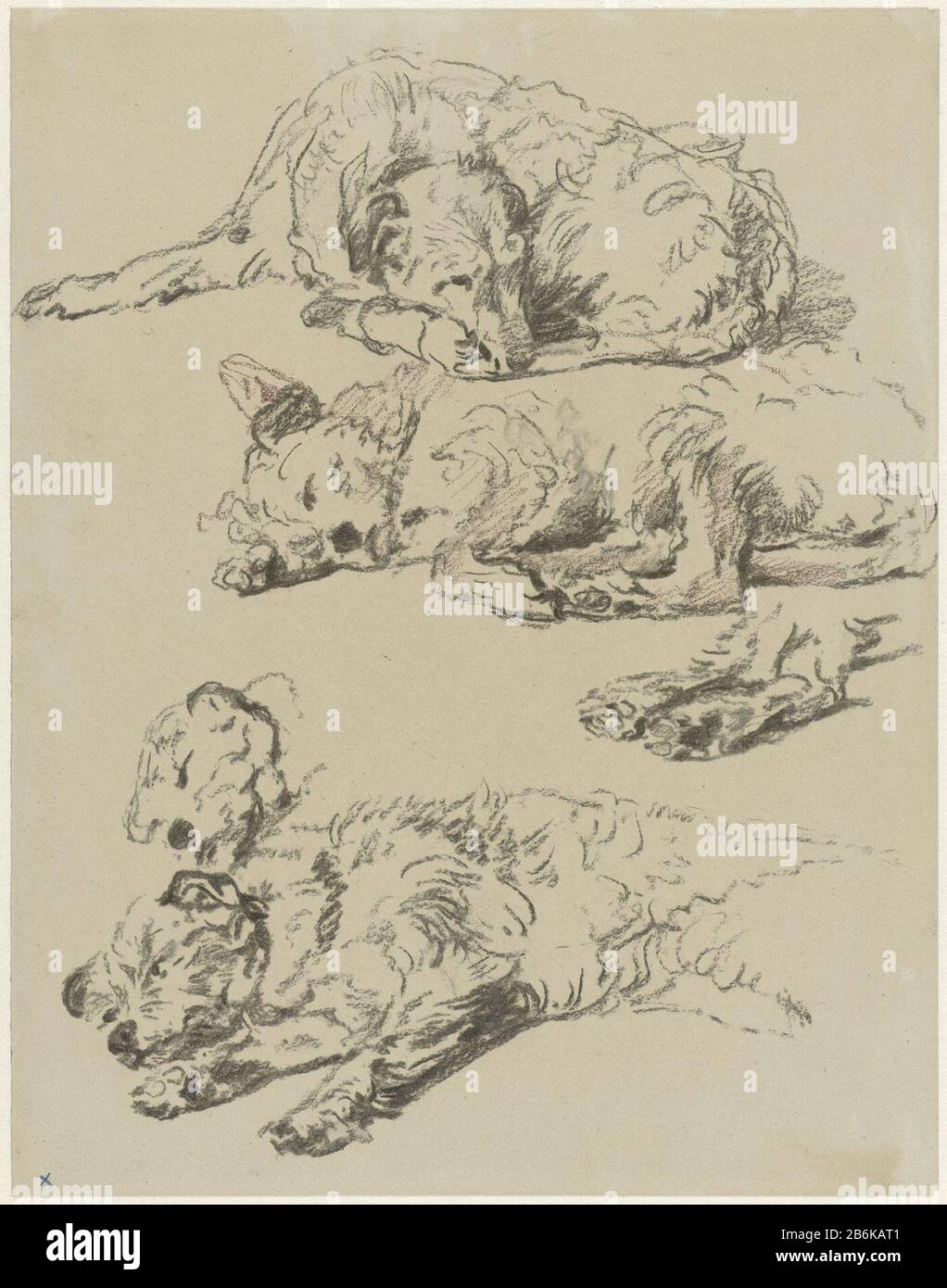 Reclining dog hi-res stock photography and images - Alamy