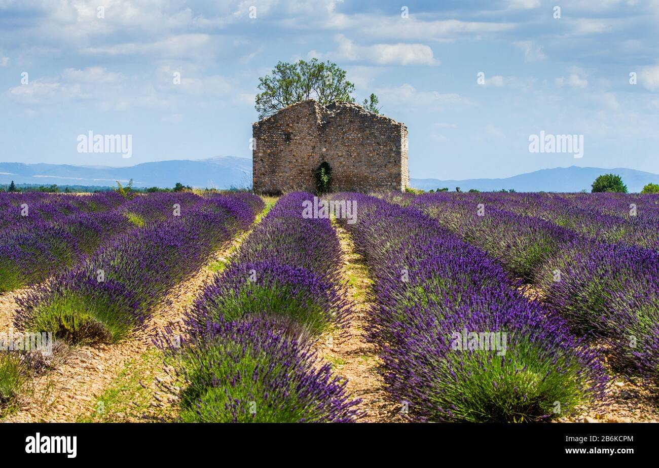 Rustic stone house hi-res stock photography and images - Alamy