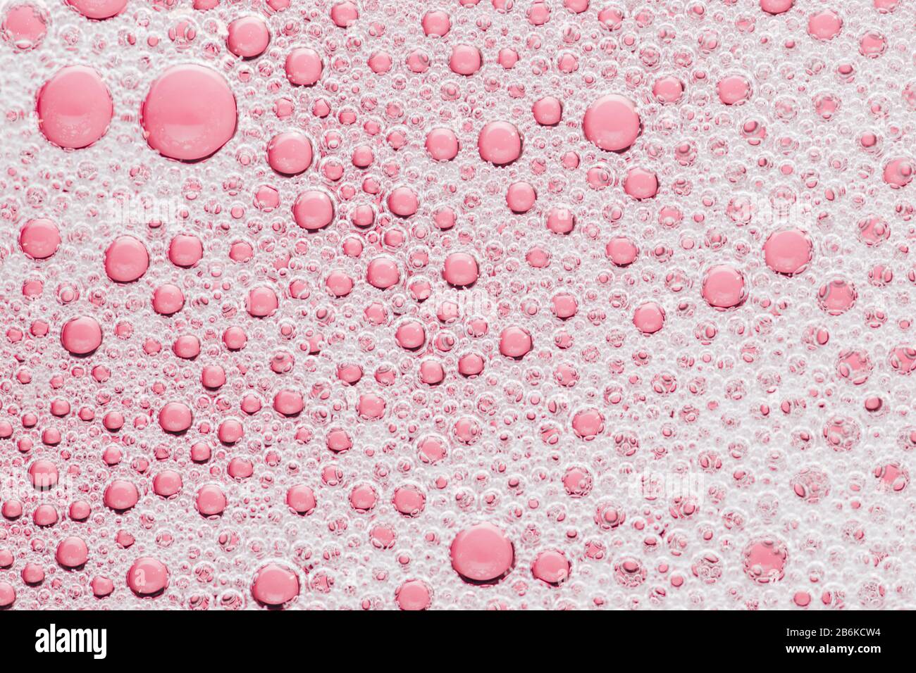Macro bubble of pink water background, transparent bath soap Stock ...