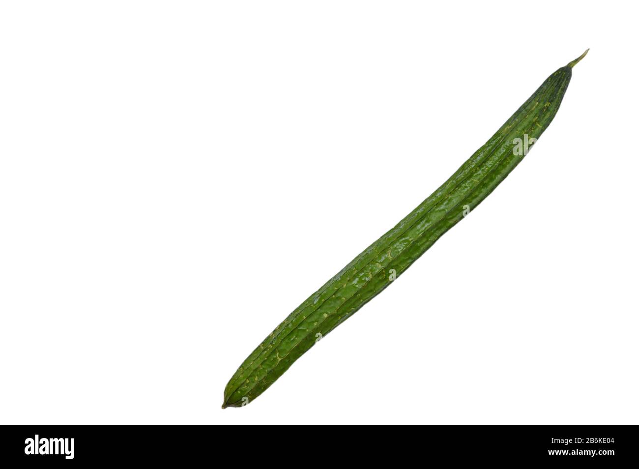 fresh angled gourd food ingredient on white background Stock Photo - Alamy
