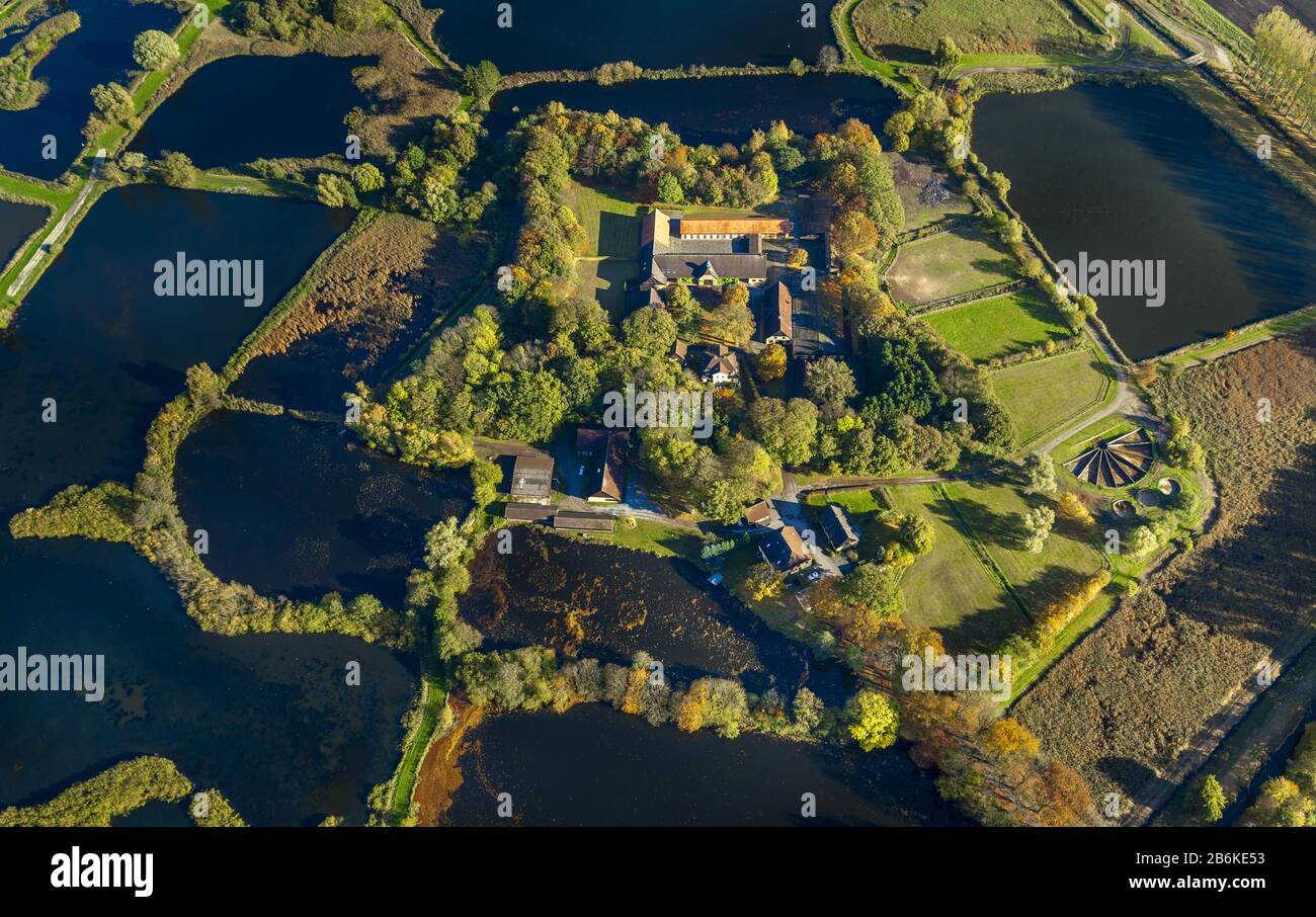 castle Rietberg and Rietberger Fischteiche, 26.10.2013, aerial view ...