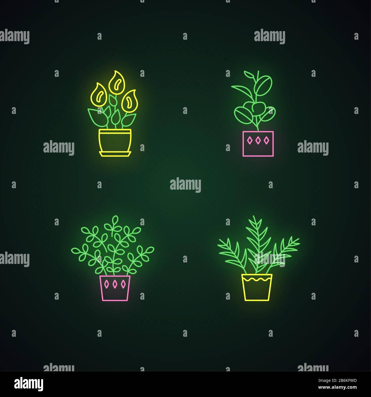 Indoor plants neon light icons set. Houseplants. Domesticated ...