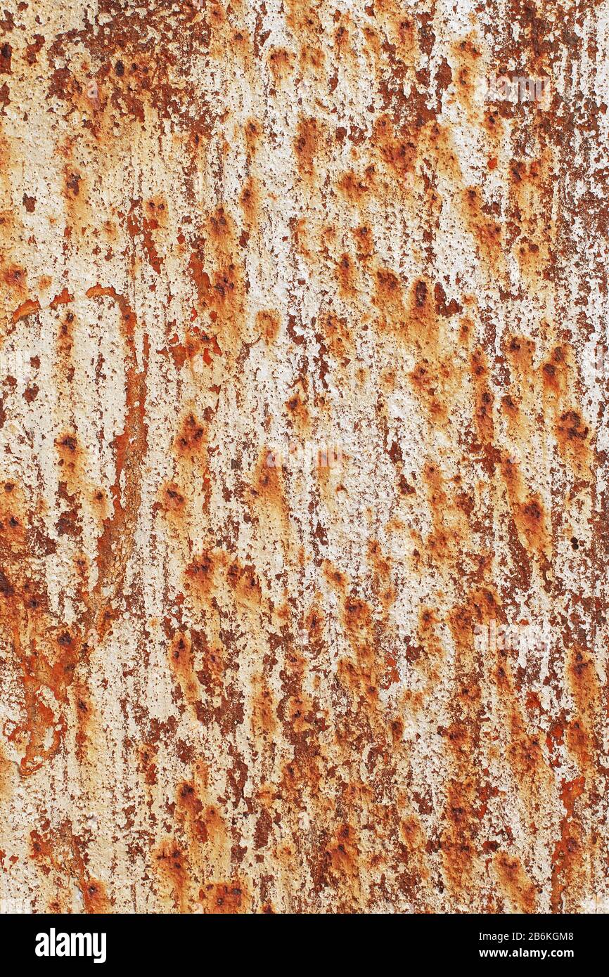 Beige peeling cracked paint on an old abandoned rusty stained sheet of ...