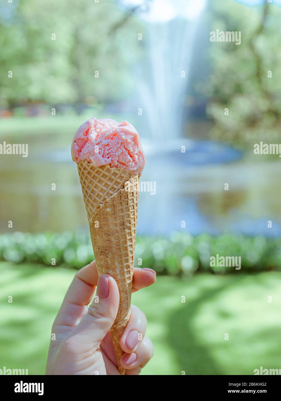 pink ice cream on spring or summer flowers landscape background Stock ...