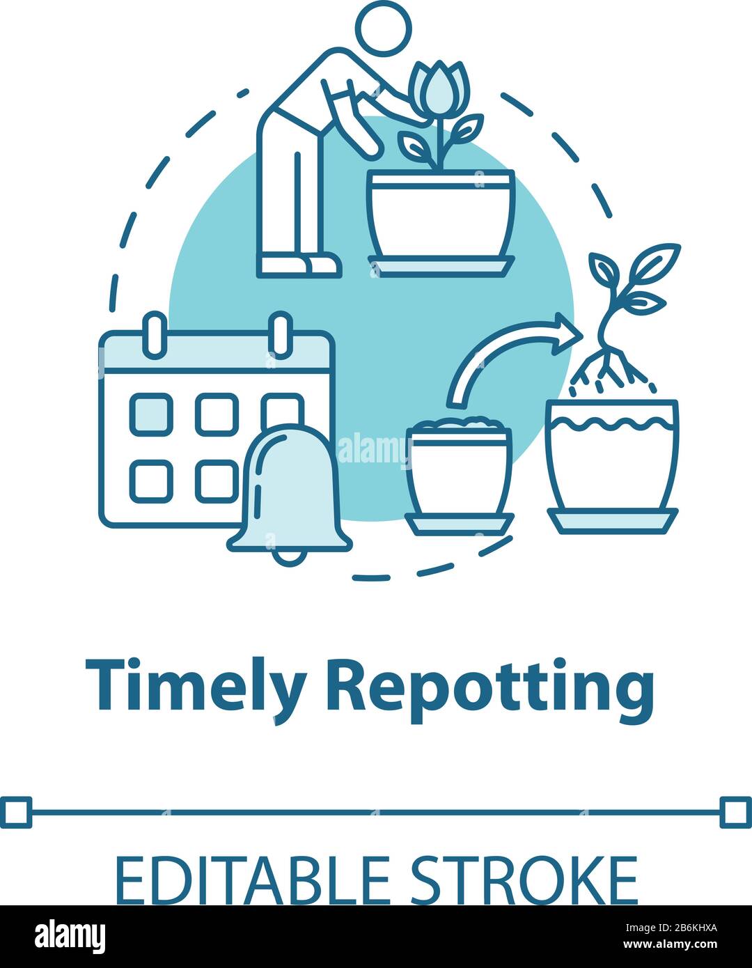 Timely repotting concept icon. Indoor flowers caring. Houseplants ...