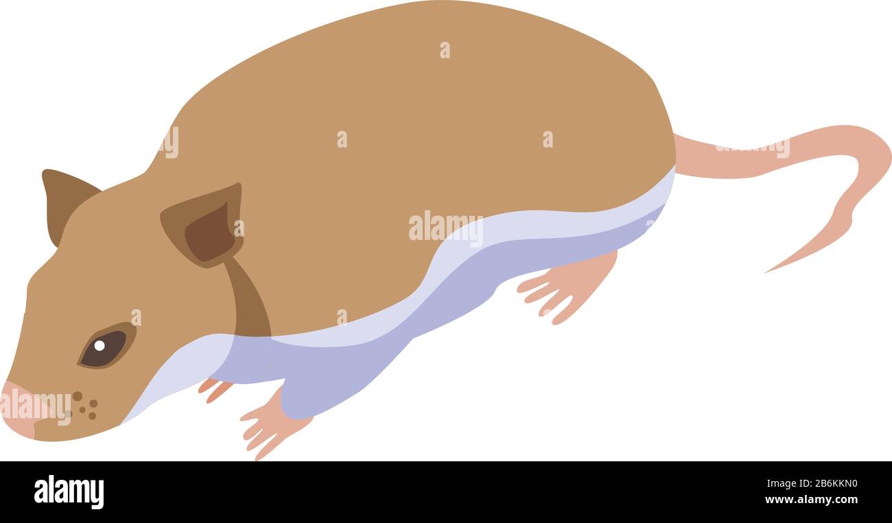 Small mice icon, isometric style Stock Vector Image & Art - Alamy