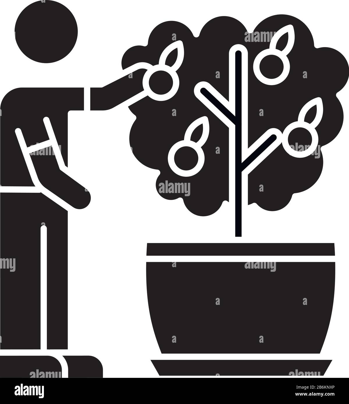 Thriving plant Black and White Stock Photos & Images - Alamy