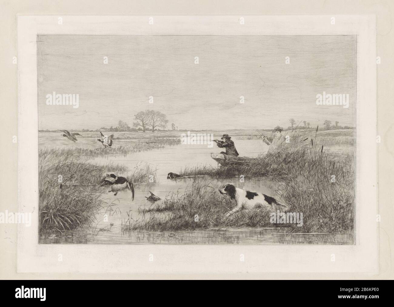 500 ducks hi-res stock photography and images - Alamy