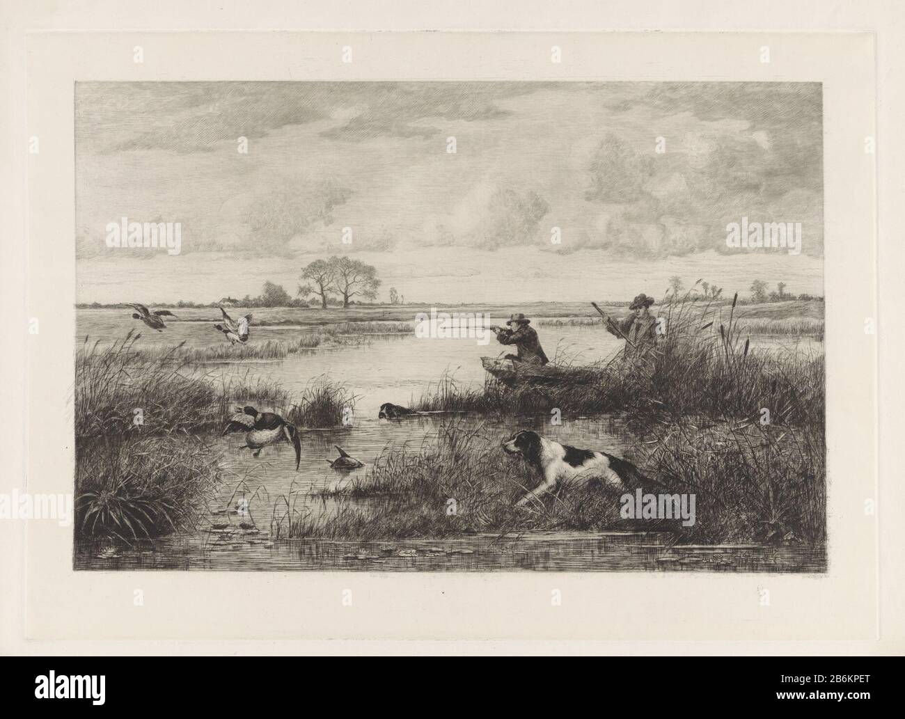 Two tone bird hi-res stock photography and images - Alamy