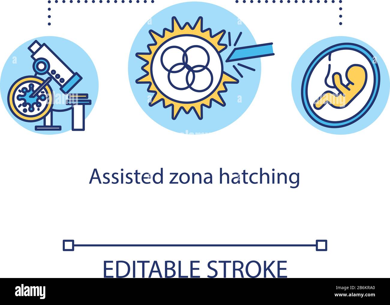 Assisted zona hatching hi-res stock photography and images - Alamy